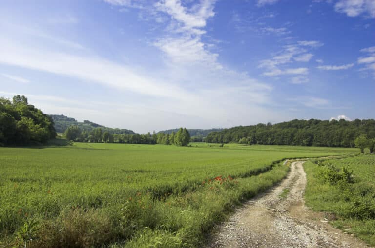 Entdecken Sie die Schönheit der Colline Moreniche in 2024